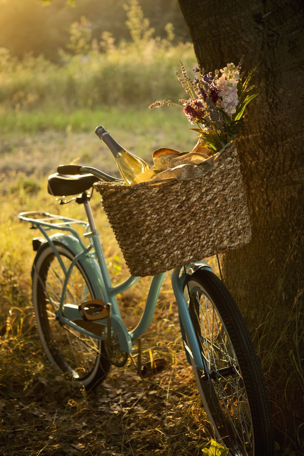 Champagne on a bike